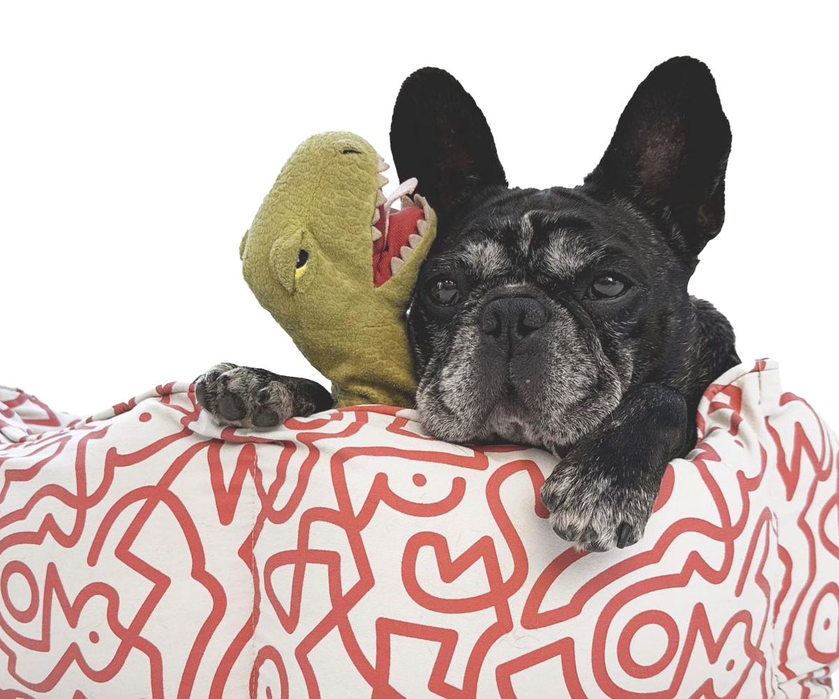 Sleep – KIN DOG GOODS