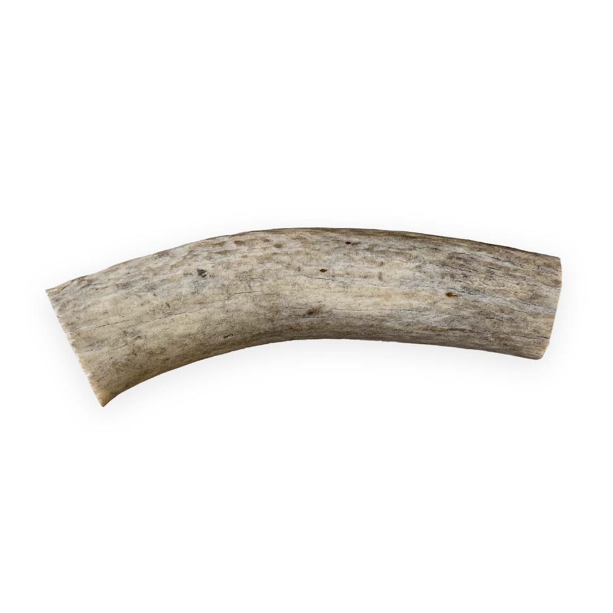 Deer Antler – KIN DOG GOODS
