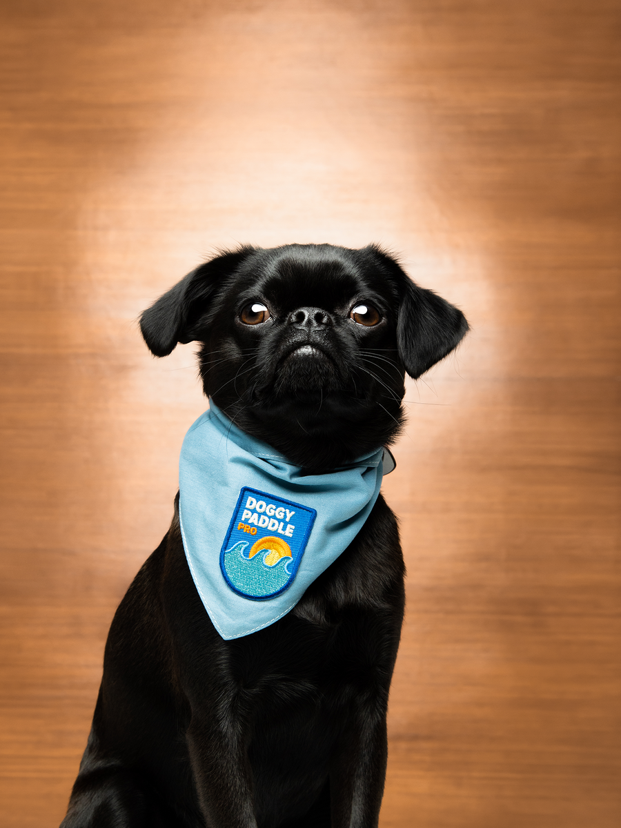 Doggy Paddle Pro Badge – KIN DOG GOODS