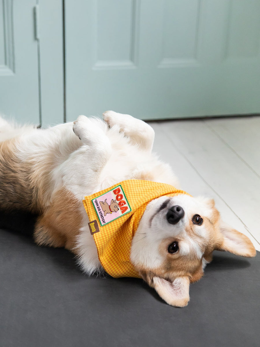 Doga Badge – KIN DOG GOODS