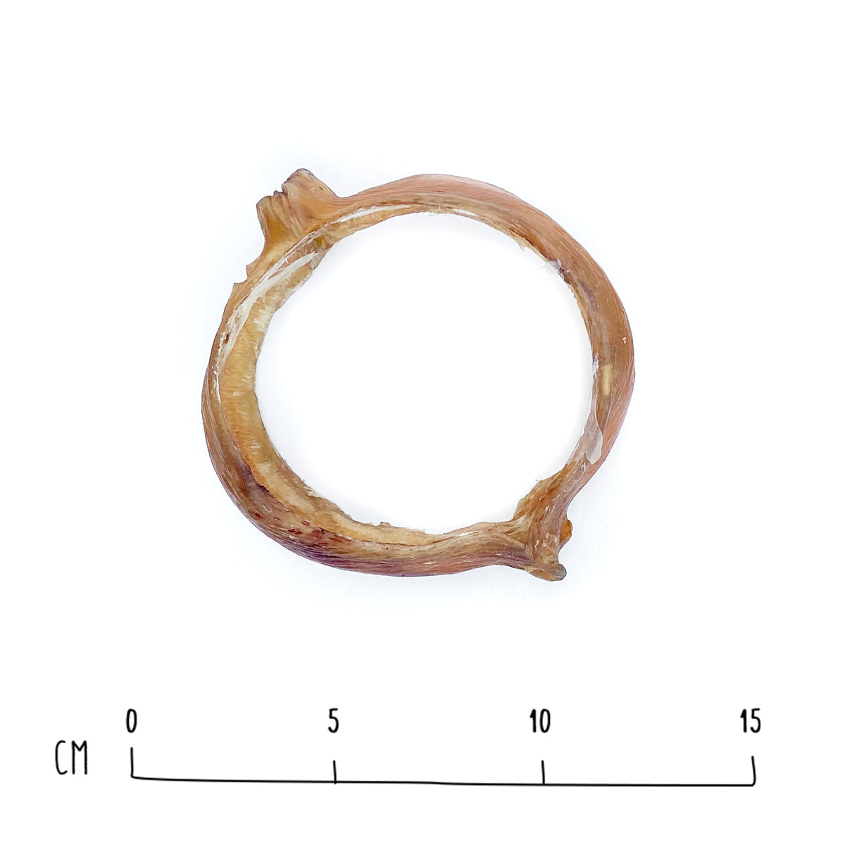 Bully Ring – KIN DOG GOODS