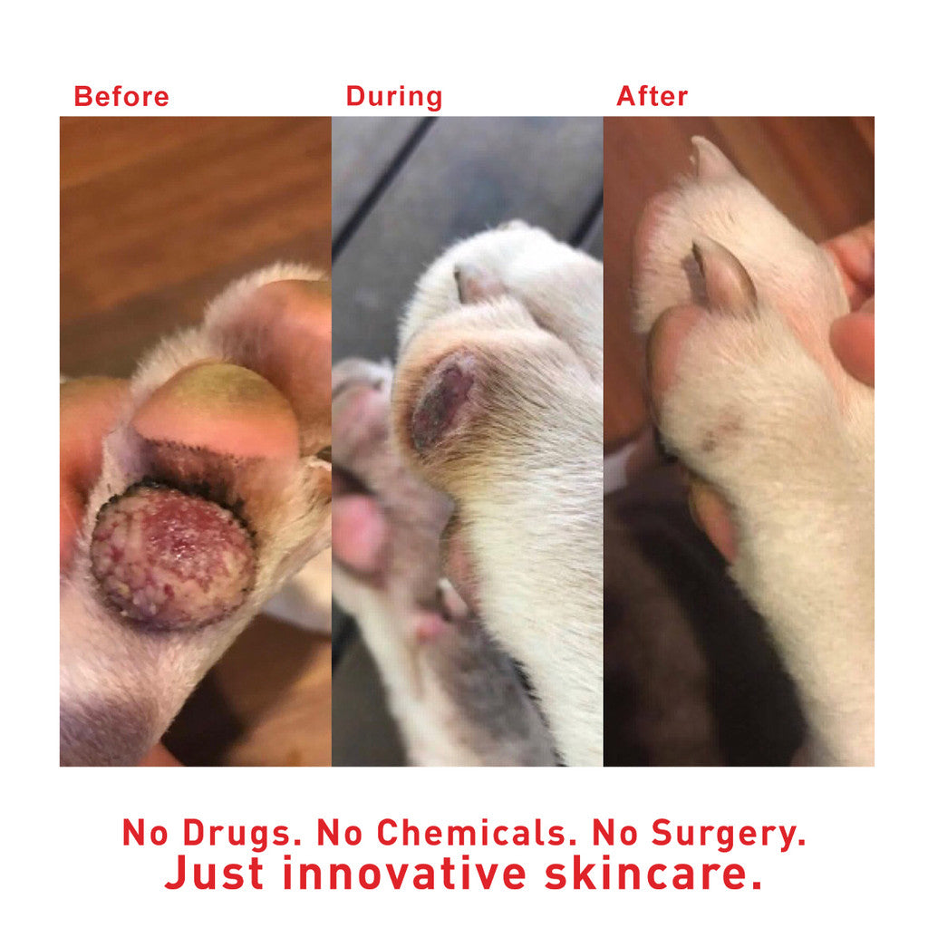 Super-Heal Salve – KIN DOG GOODS